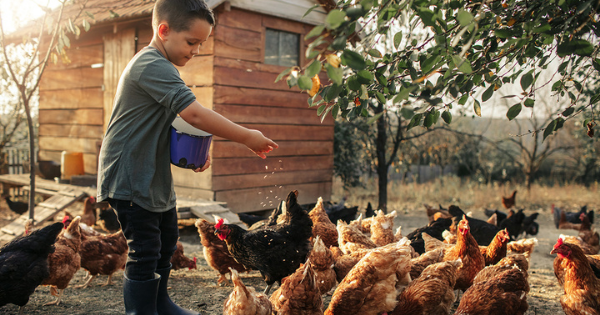 American Egg Board | Inspire PR Group